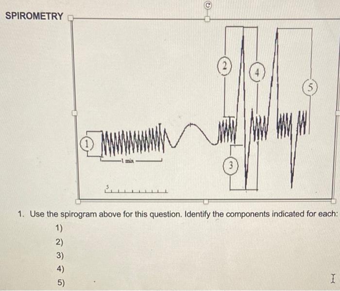 Solved SPIROMETRY 5 WWW WW min 3 1. Use the spirogram above | Chegg.com