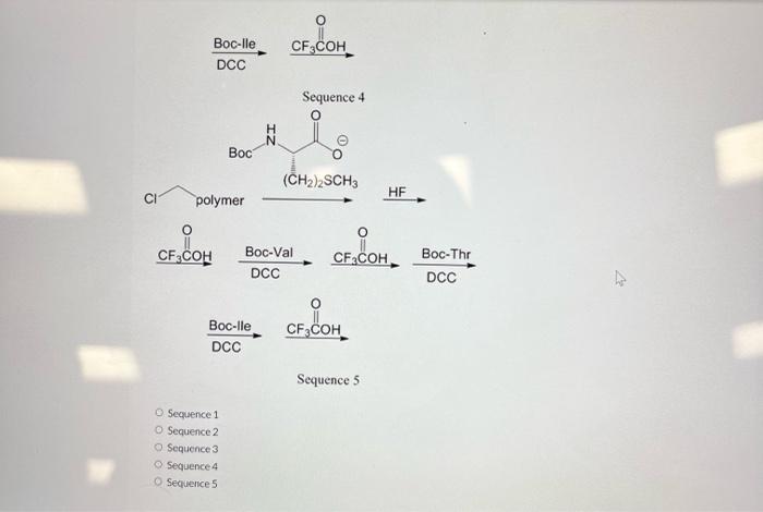 Solved Provide the steps necessary to prepare the | Chegg.com