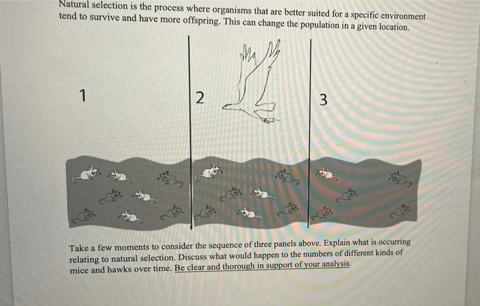 Solved Natural selection is the process where organisms that | Chegg.com