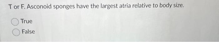 Solved T or F. Asconoid sponges have the largest atria | Chegg.com