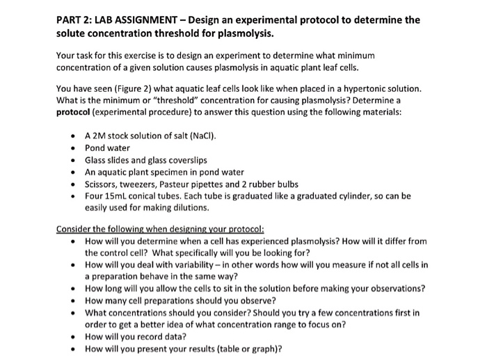 PART 2: LAB ASSIGNMENT - Design an experimental | Chegg.com