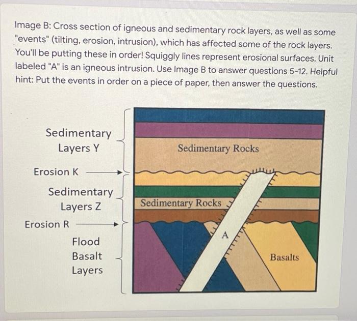 Solved Image B: Cross section of igneous and sedimentary | Chegg.com