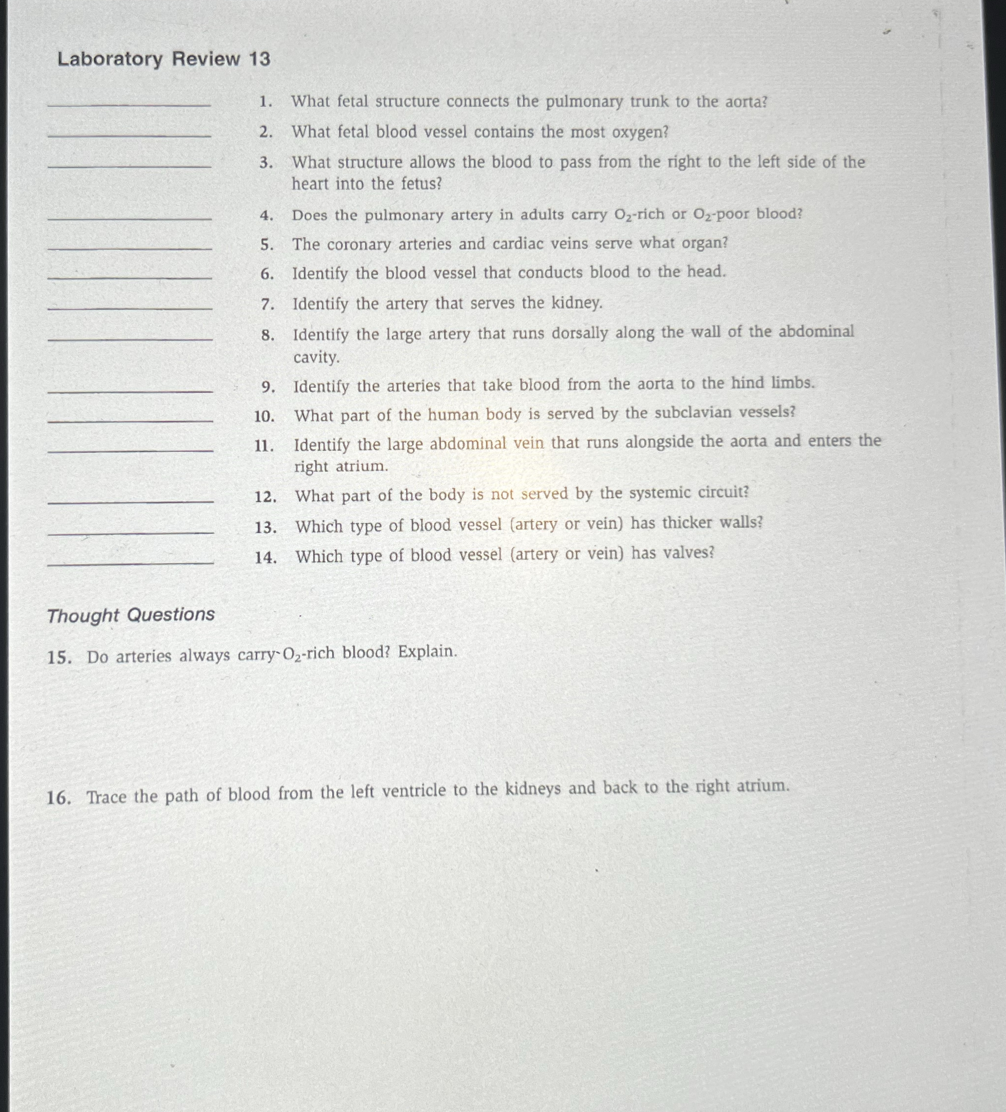 Solved Laboratory Review 13Thought QuestionsDo arteries | Chegg.com