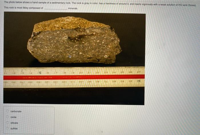 Solved The photo below shows a hand sample of a sedimentary | Chegg.com
