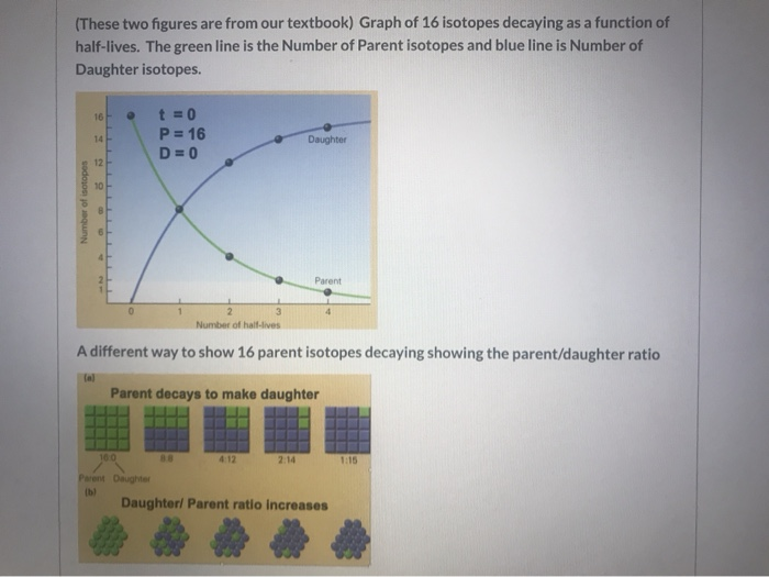 Solved start out with 16 radioactive parent isotopes in a | Chegg.com