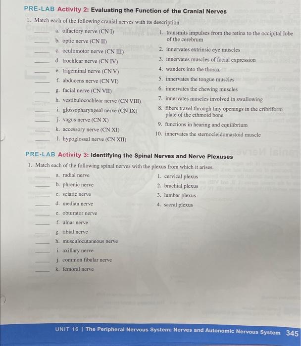 Solved PRE-LAB Activity 2: Evaluating the Function of the | Chegg.com