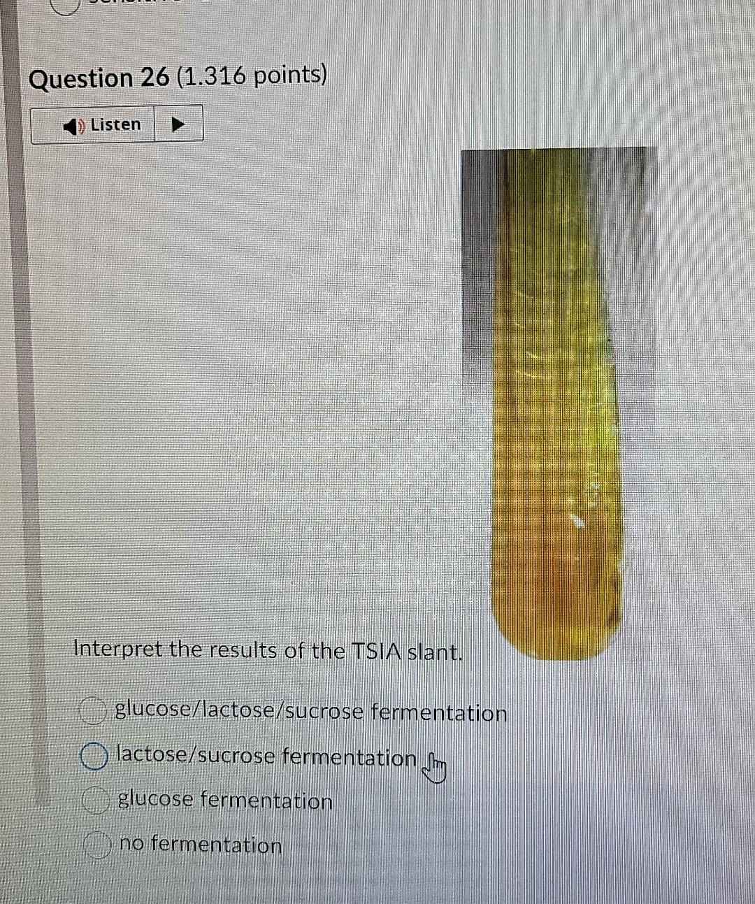 Solved Interpret the results of the Ornithine decarboxylase | Chegg.com