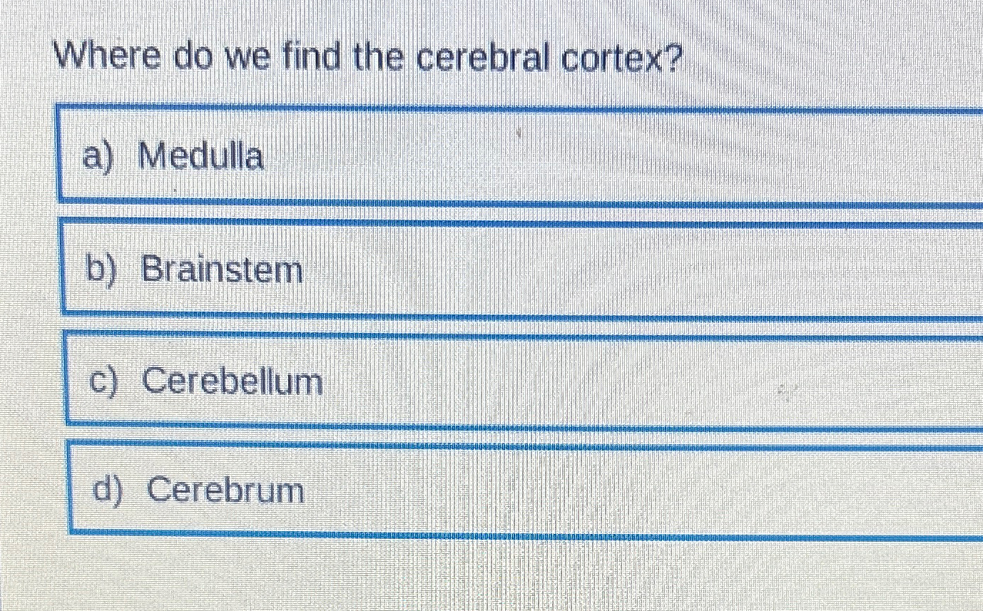 Solved Where do we find the cerebral cortex? | Chegg.com