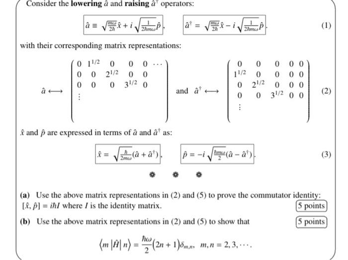 Solved Consider the lowering & and raising a operators: mo = | Chegg.com