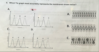 Solved Which Tm graph most accurately represents the | Chegg.com