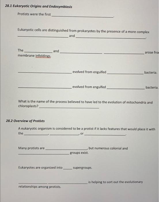 Solved Eukaryotic cells are distinguished from prokaryotes | Chegg.com