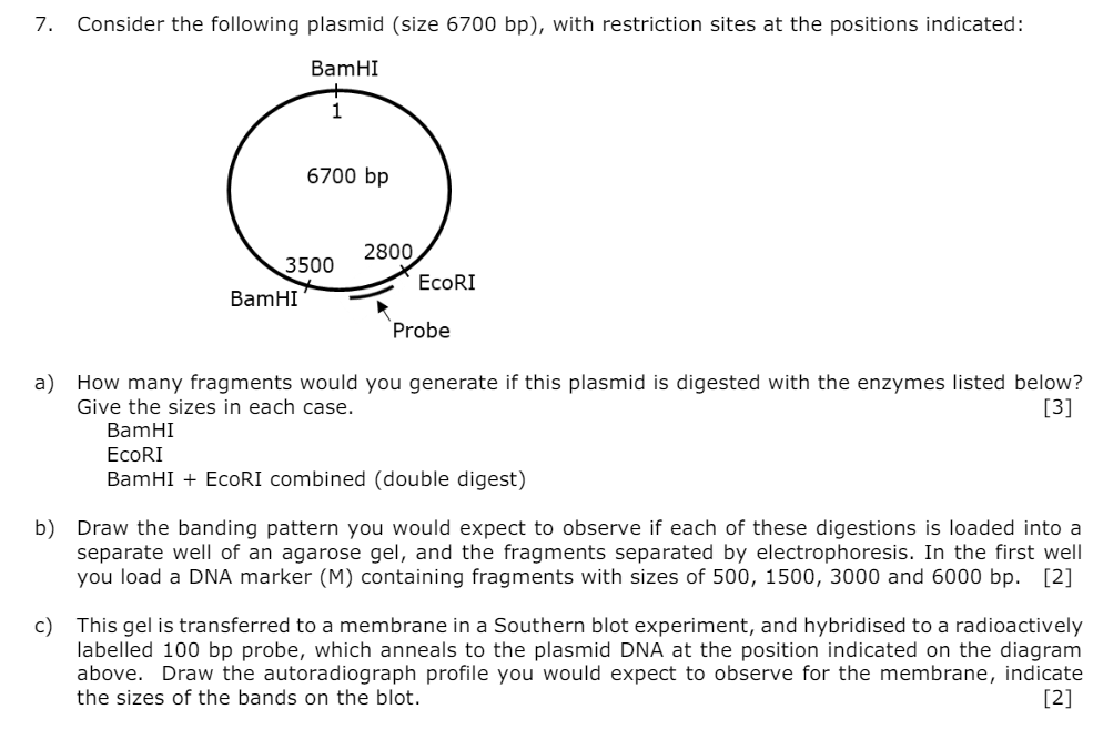 Solved Consider the following plasmid (size 6700bp ), ﻿with | Chegg.com