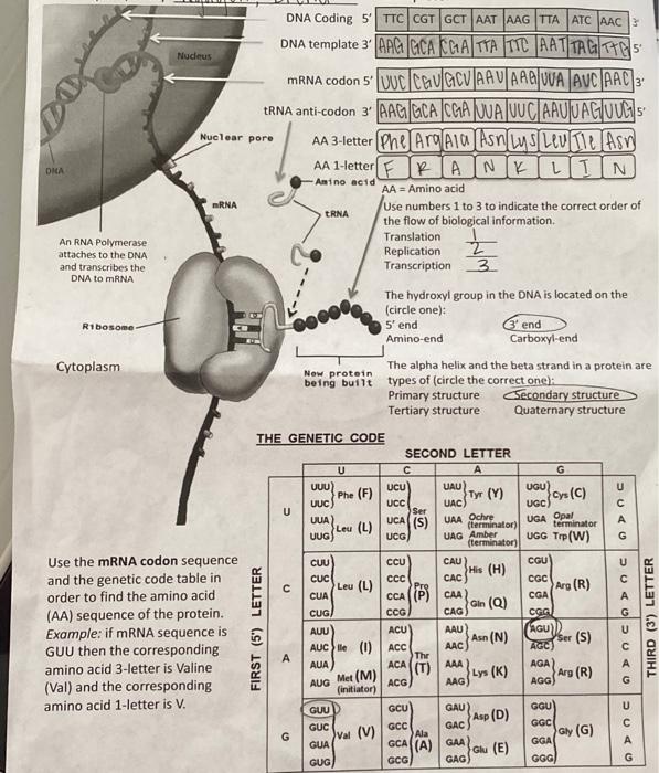 Solved HELP with all please | Chegg.com