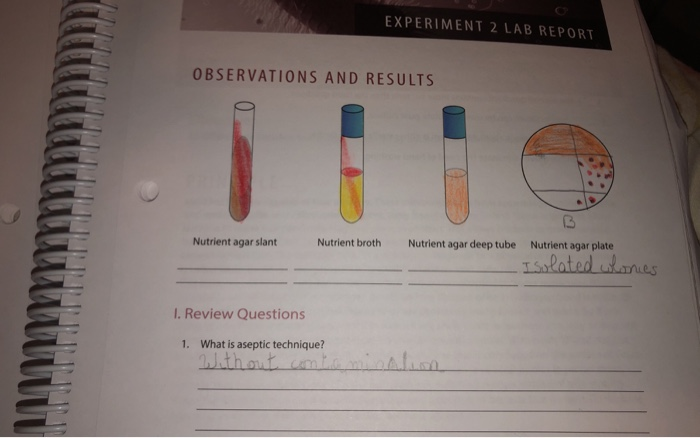 Solved EXPERIMENT 2 LAB REPORT OBSERVATIONS AND RESULTS | Chegg.com