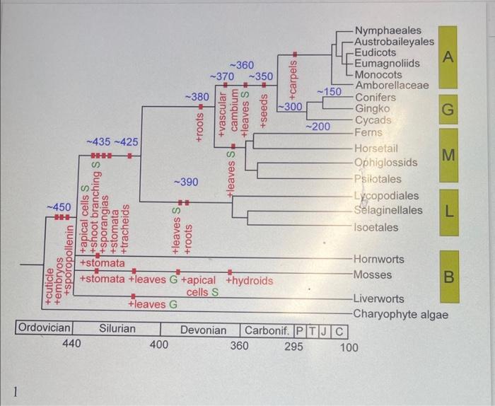 Solved Part III: Creating a Chordate "Family Tree" of the | Chegg.com