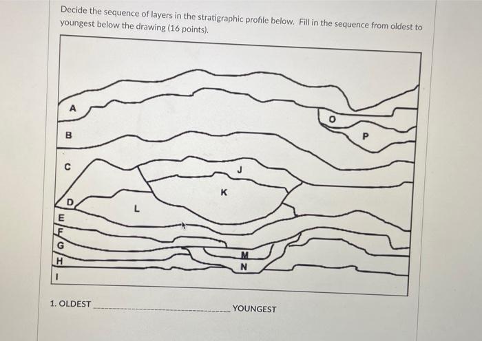 Decide the sequence of layers in the stratigraphic | Chegg.com