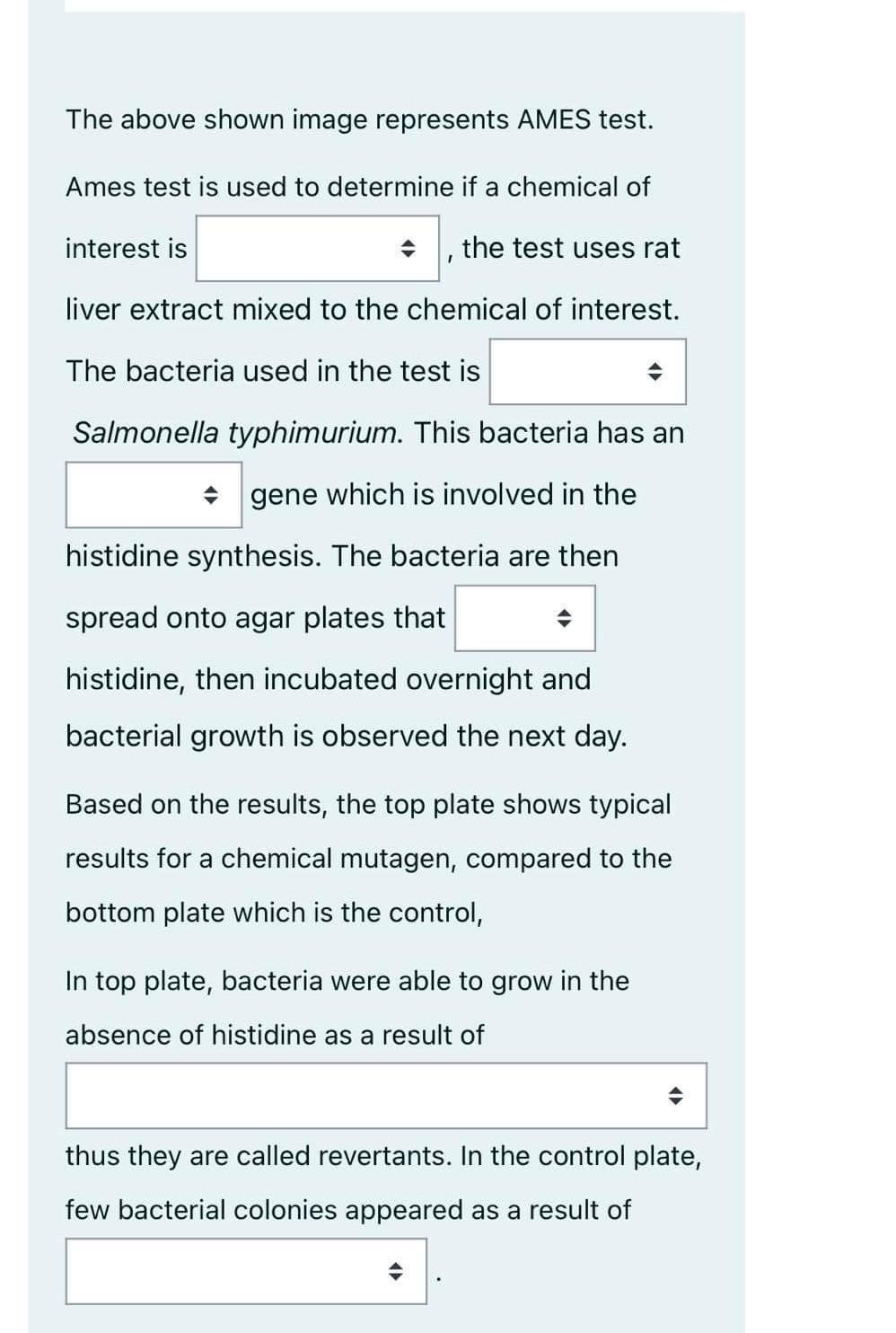 Solved The above shown image represents AMES test. Ames test | Chegg.com