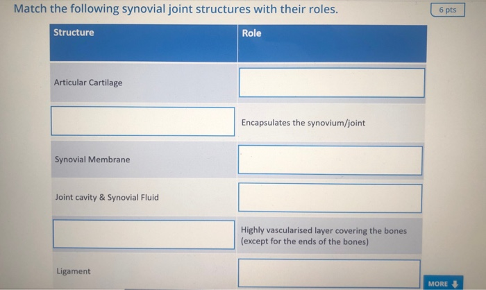 Solved Match the following synovial joint structures with | Chegg.com