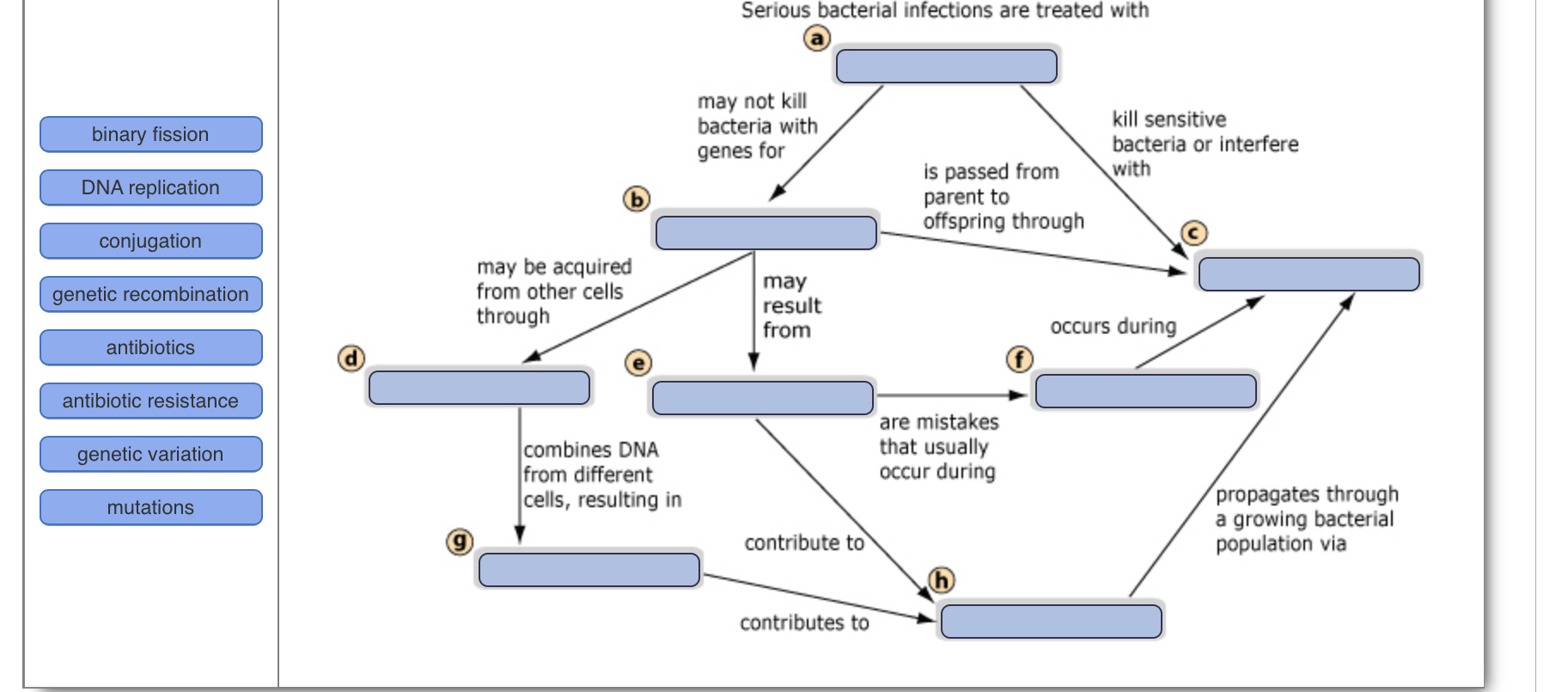 Solved binary fissionDNA replicationconjugationgenetic | Chegg.com