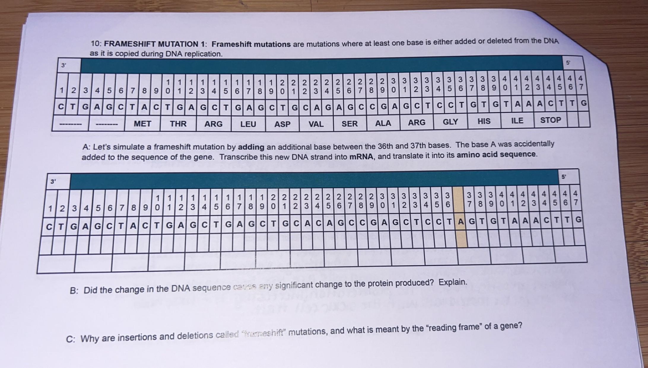 Solved 10: FRAMESHIFT MUTATION 1: Frameshift mutations are | Chegg.com
