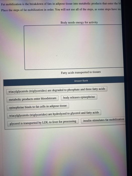 Solved Fat mobilization is the breakdown of fats in adipose | Chegg.com