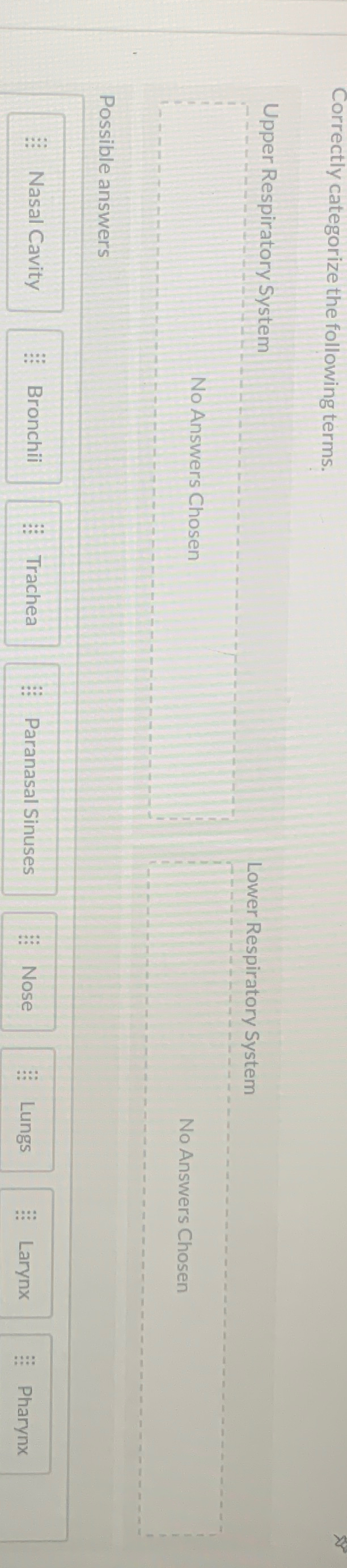 Solved Correctly categorize the following terms.Upper | Chegg.com