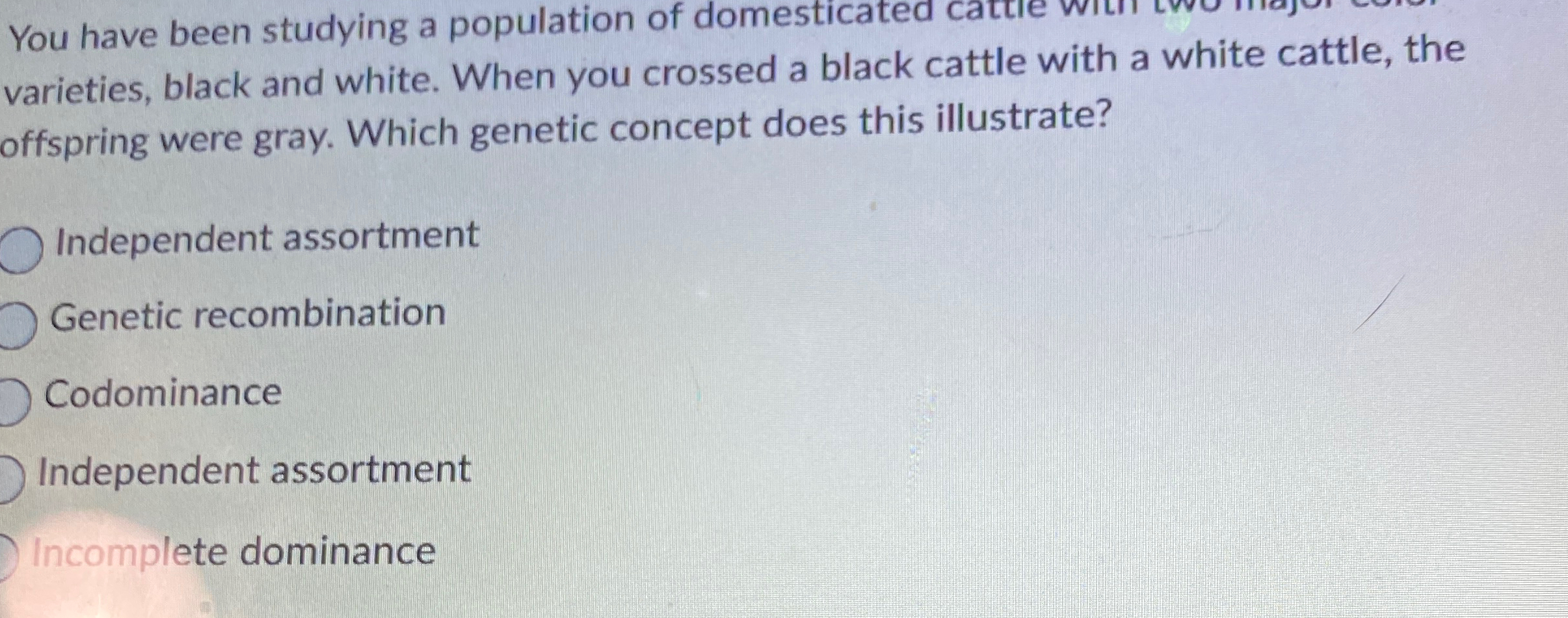 Solved You have been studying a population of domesticated | Chegg.com