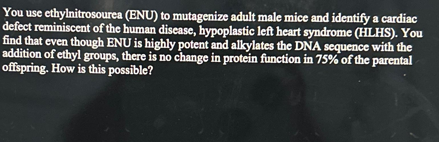 Solved You use ethylnitrosourea (ENU) ﻿to mutagenize adult | Chegg.com