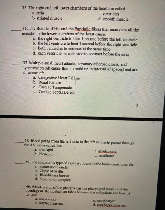 Solved 35. The right and left lower chambers of the heart | Chegg.com