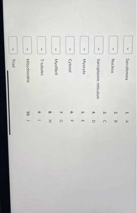 Solved Question 1 ( 2.5 points) Match the structures | Chegg.com