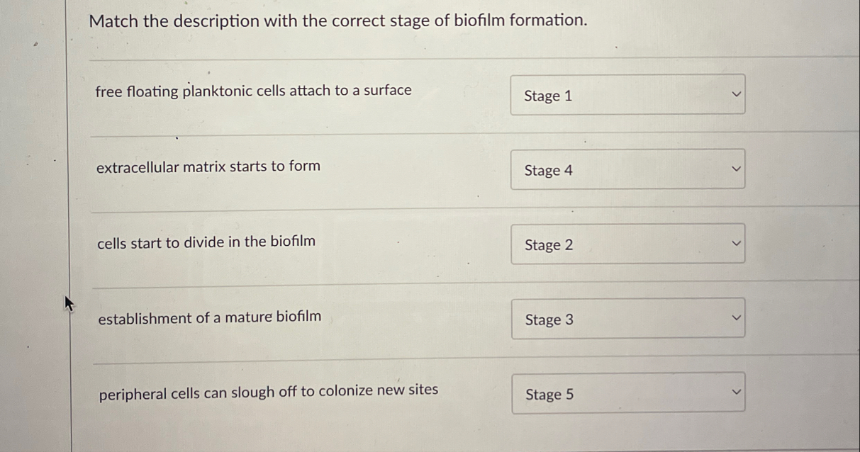 Solved Match the description with the correct stage of | Chegg.com