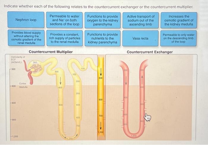 Indicate whether each of the following relates to the | Chegg.com
