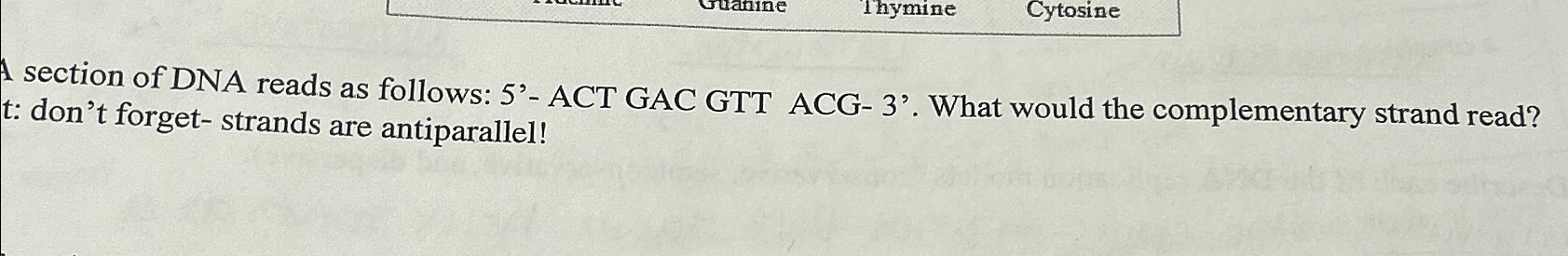 Solved A section of DNA reads as follows: 5'-ACT GAC GTT | Chegg.com