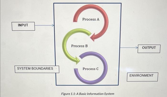 Solved Give an example of an information system and identify | Chegg.com