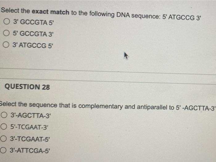 Solved Select the exact match to the following DNA sequence: | Chegg.com