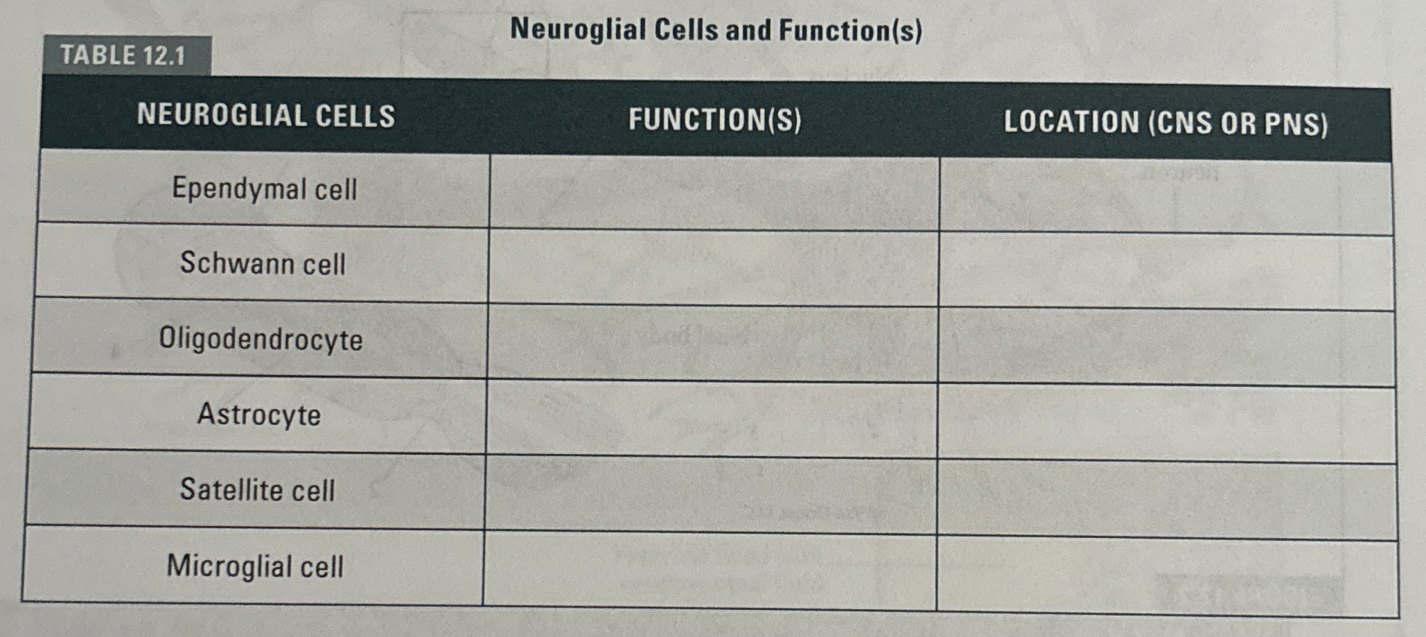 Solved TABLE 12.1Neuroglial Cells and Function(s)NEUROGLIAL | Chegg.com