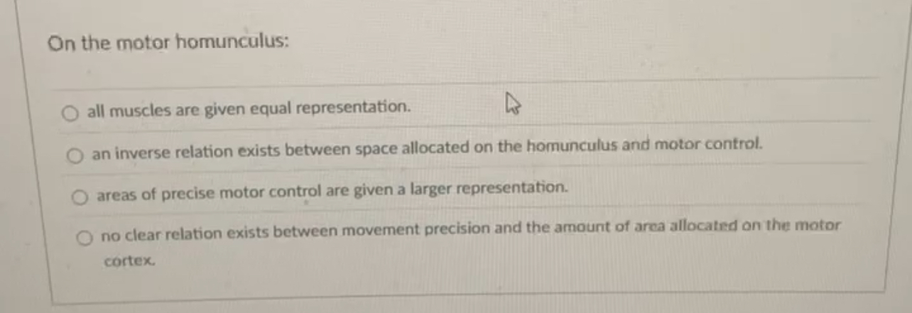 Solved On the motor homunculus:all muscles are given equal | Chegg.com