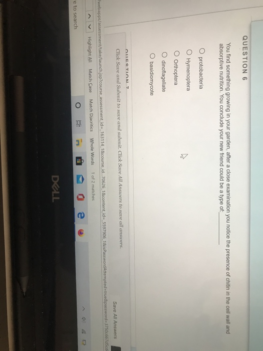 Solved QUESTION 6 You find something growing in your garden, | Chegg.com