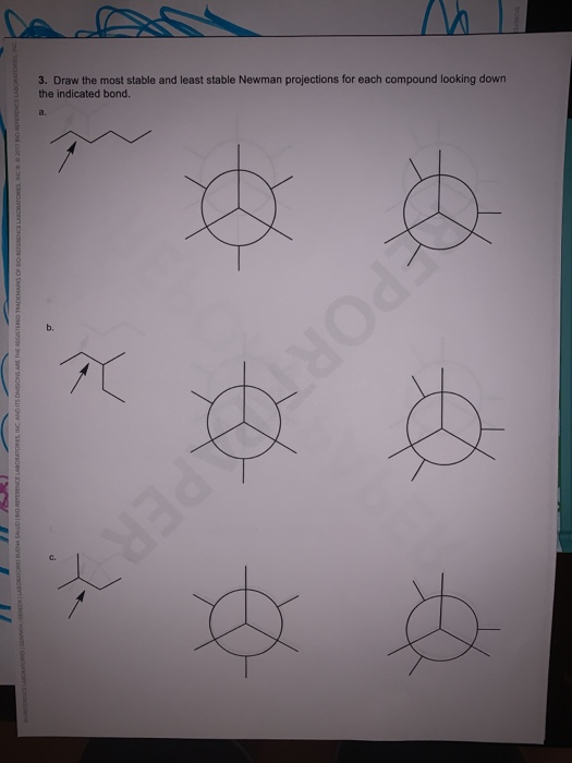 Solved draw the most stable and least stable Newman | Chegg.com