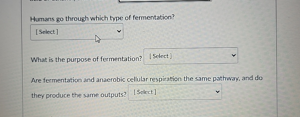 Solved Humans go through which type of fermentation?What is | Chegg.com
