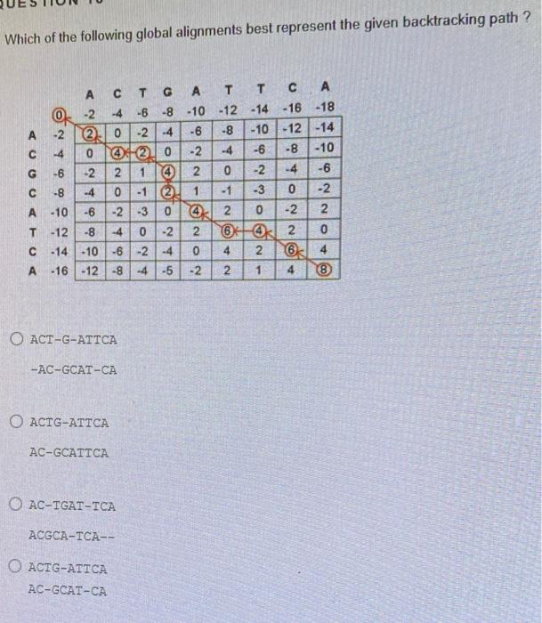 Solved Which of the following global alignments best | Chegg.com