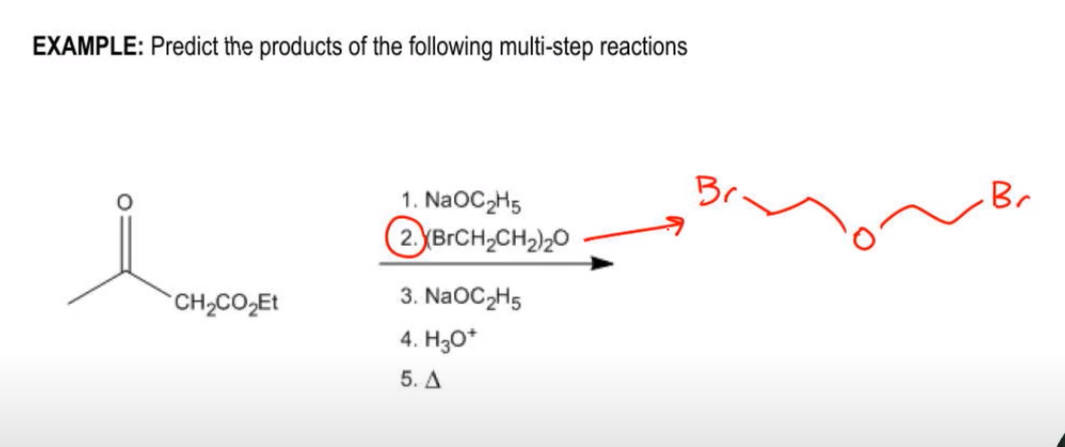 Solved EXAMPLE: Predict the products of the following | Chegg.com