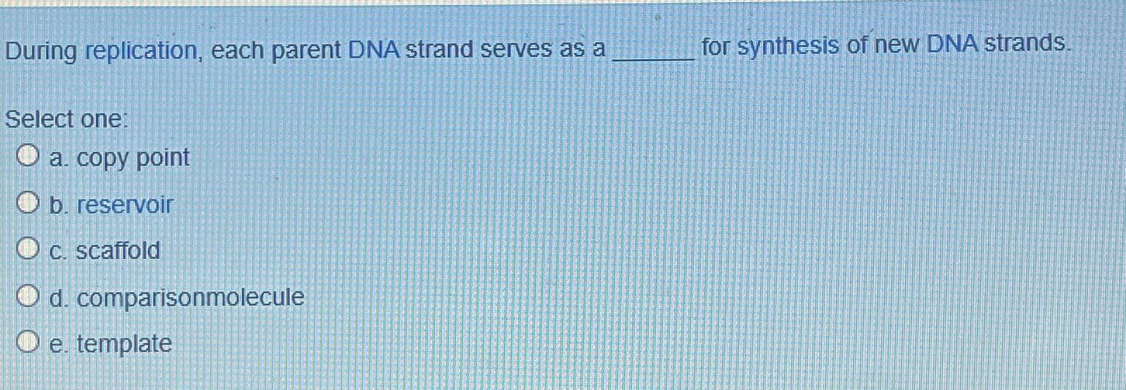 Solved During replication, each parent DNA strand serves as | Chegg.com