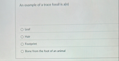 Solved An example of a trace fossil is | Chegg.com