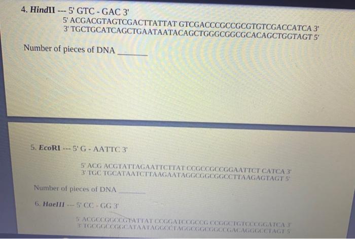 Solved Directions: Identify the restriction sites for each | Chegg.com