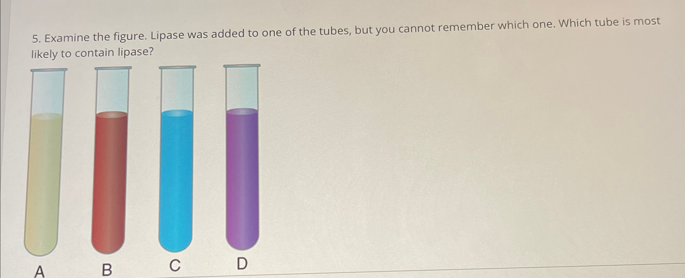 Solved Examine the figure. Lipase was added to one of the | Chegg.com