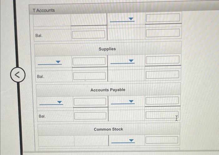 Solved Fill out chart of accounts, general journal, T | Chegg.com