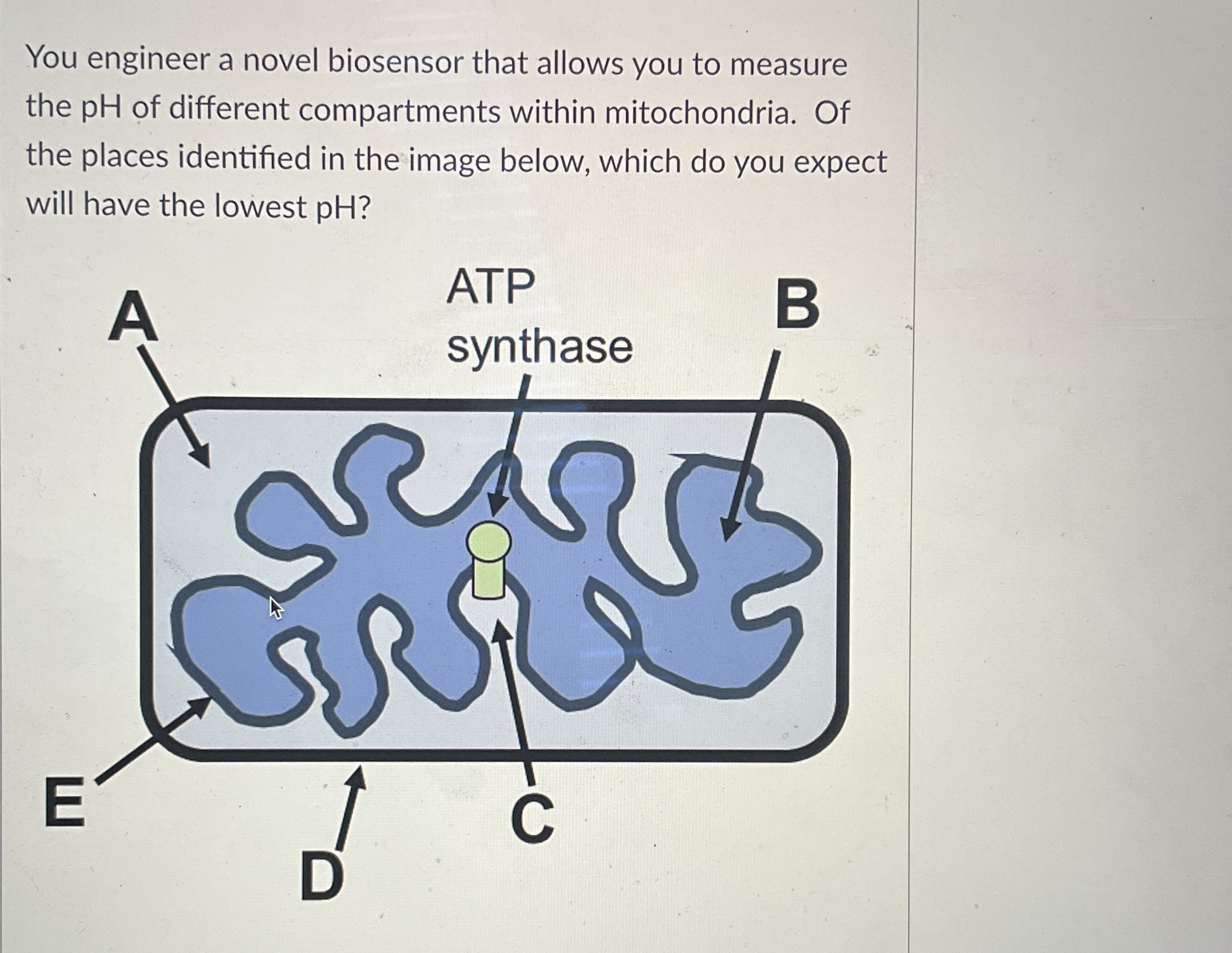 Solved You engineer a novel biosensor that allows you to | Chegg.com