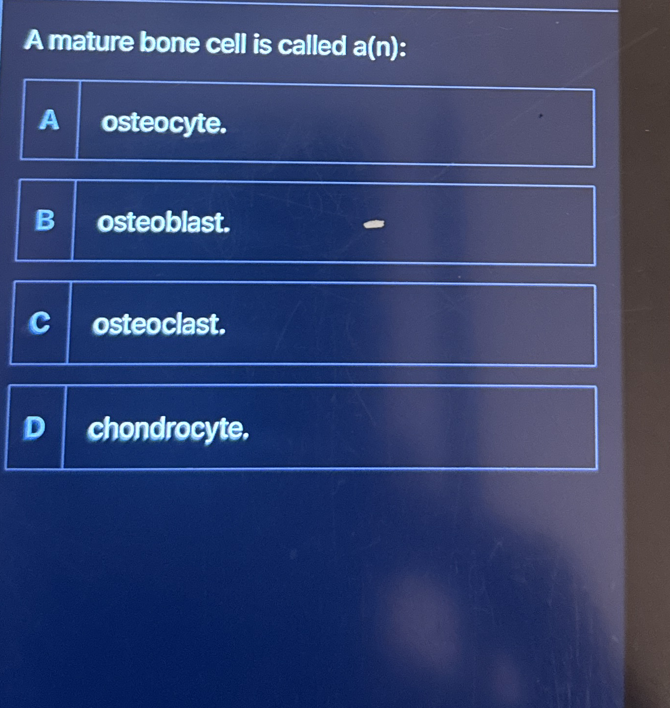 Solved A mature bone cell is called a(n):A osteocyte.B | Chegg.com