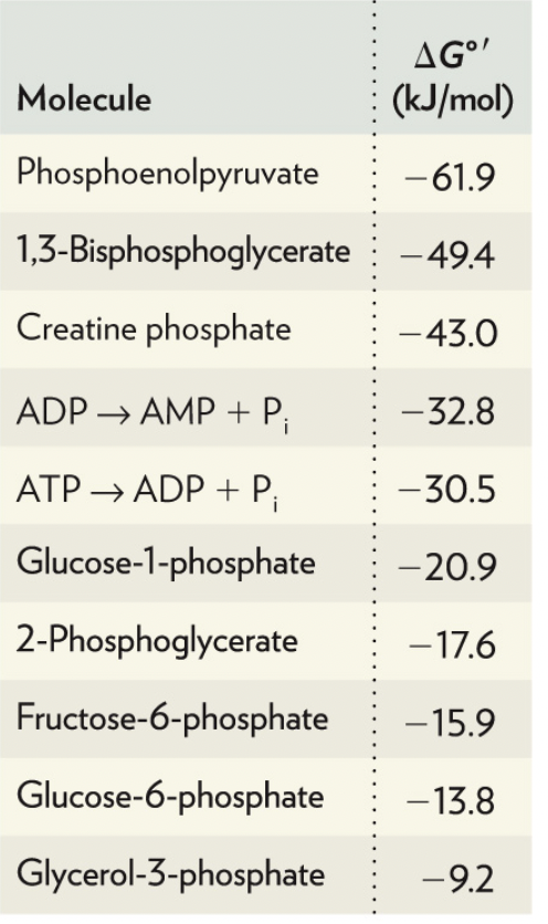 Solved Calculate the actual, physiological delta G for the | Chegg.com